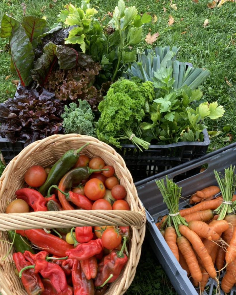 Guide: 3 farm shops you can’t miss - Visit MittSkåne