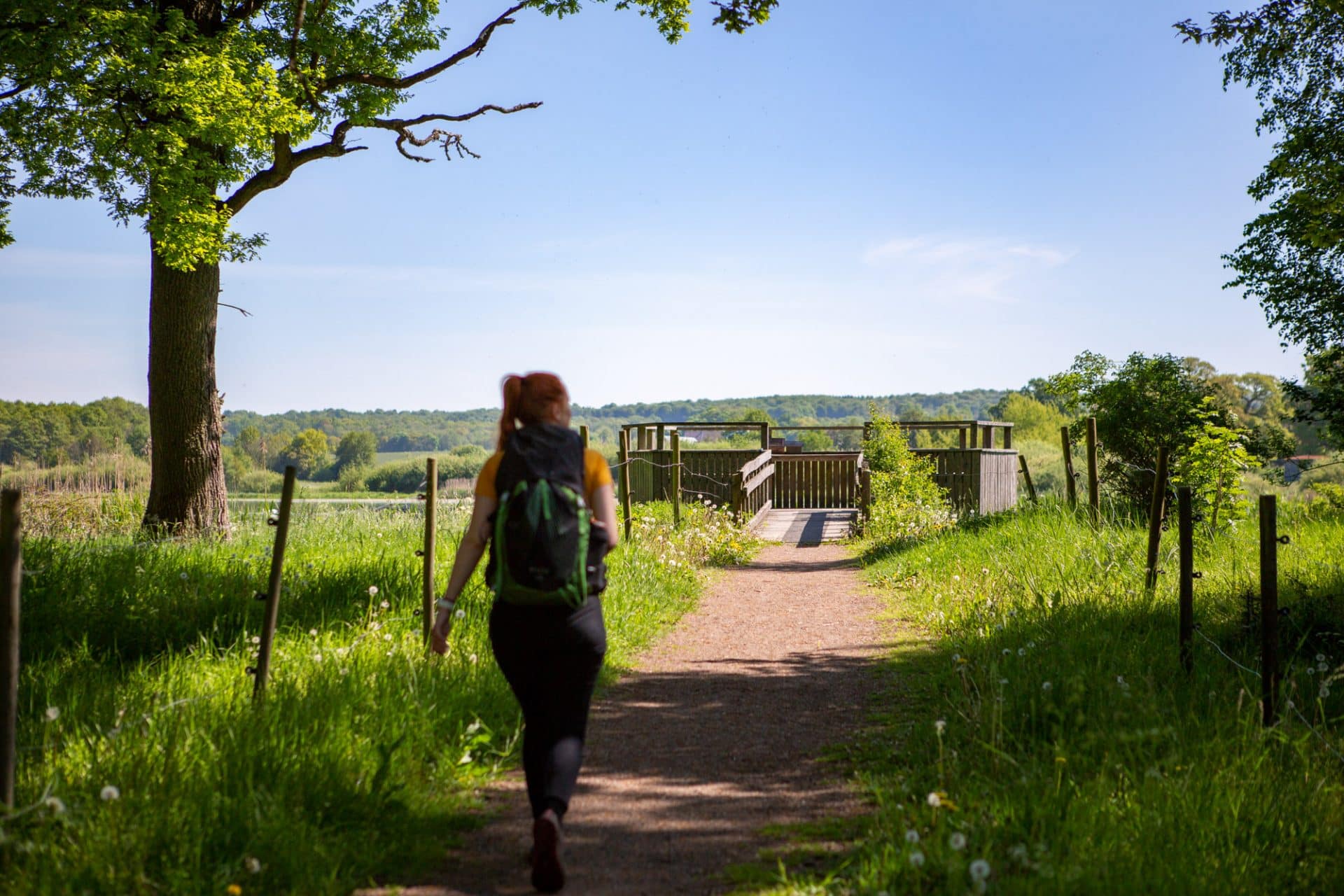 Vandra i Skåne - se alla våra vandringsleder! - Visit MittSkåne