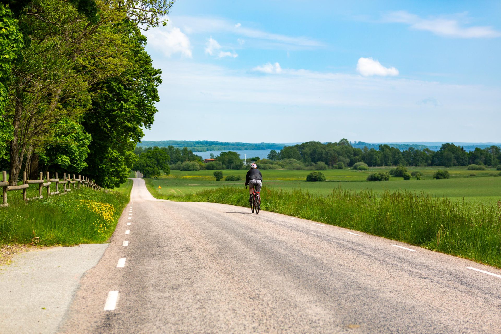 Guide: Cykla i Skåne - Visit MittSkåne